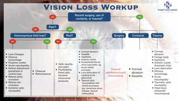 Monocular Painless Vision Loss | Provider Practice Essentials