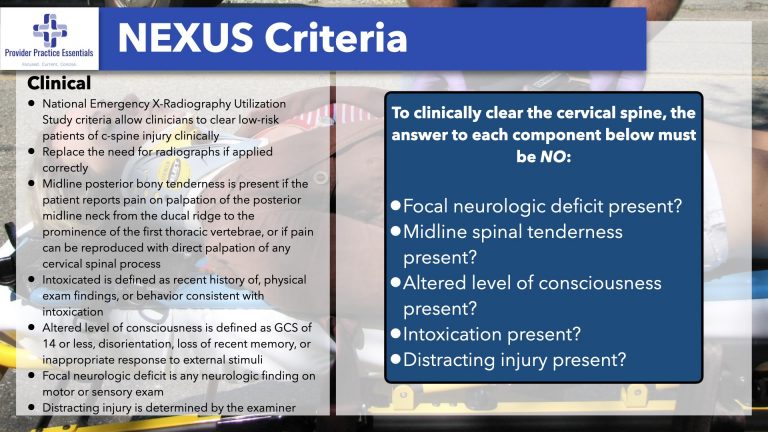 The 3 Biggest Things I Learned While Studying for my PA-CAQ