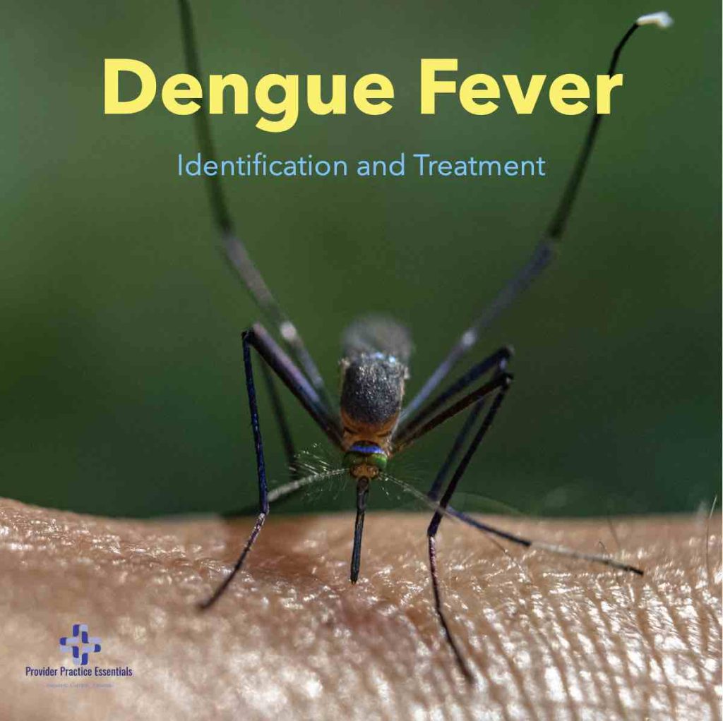 Dengue Fever
