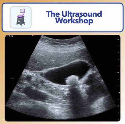 Ultrasound CME Course for PA's NP's - November - Orlando, FL